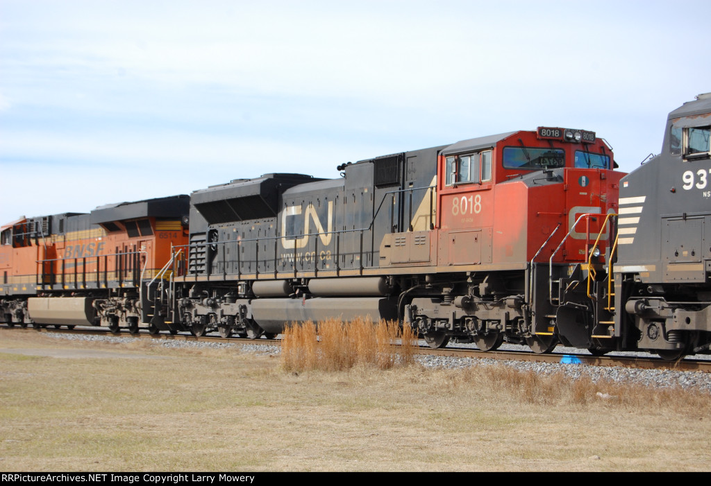 CN 8018